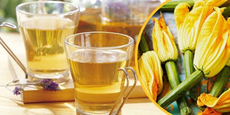 Qué beneficios aporta la flor de auyama para mejorar la salud