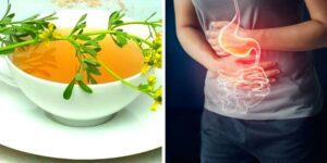 ¿Qué es la Ruda y para qué sirve? Propiedades, usos y precauciones